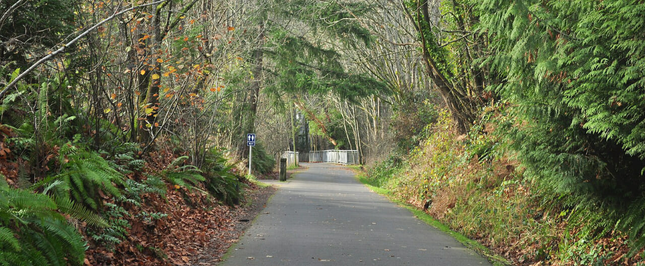 Sand Point, Seattle, WA Real Estate & Homes for Sale | Petri Homes